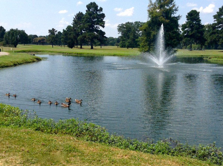 Amenities – Gator Grounds RV Resort